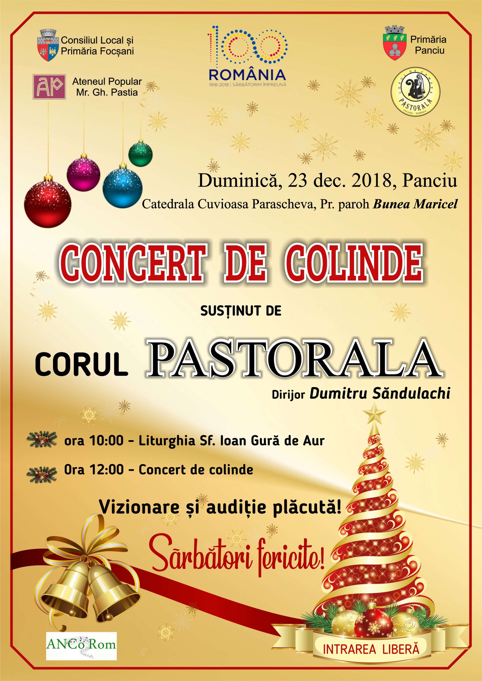 Concert de Colinde la Catedrala Cuvioasa Parascheva din Panciu ...